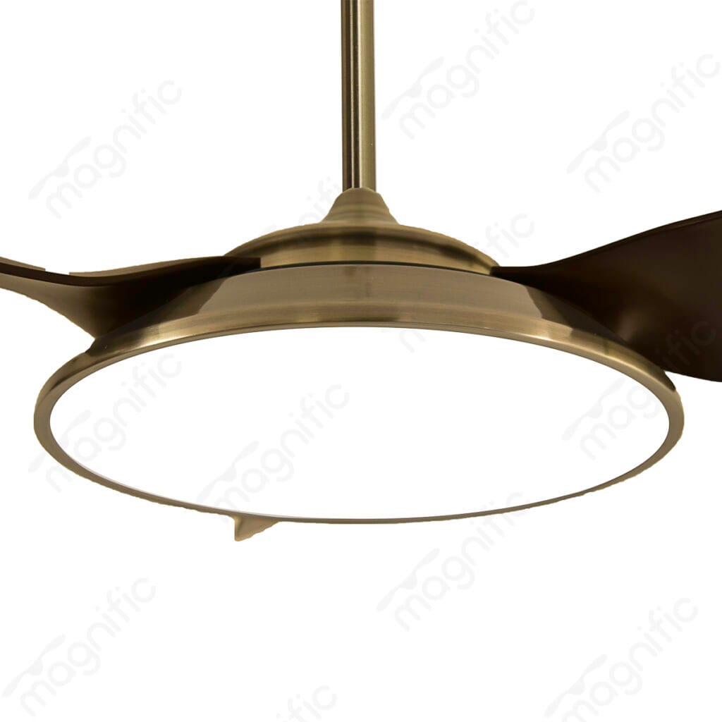 Amor - 42" Stylish Antique Brass Ceiling Fan | Remote Control